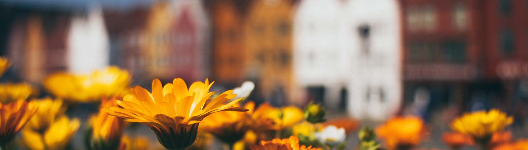 Über uns - ESPEY & ESPEY GmbH